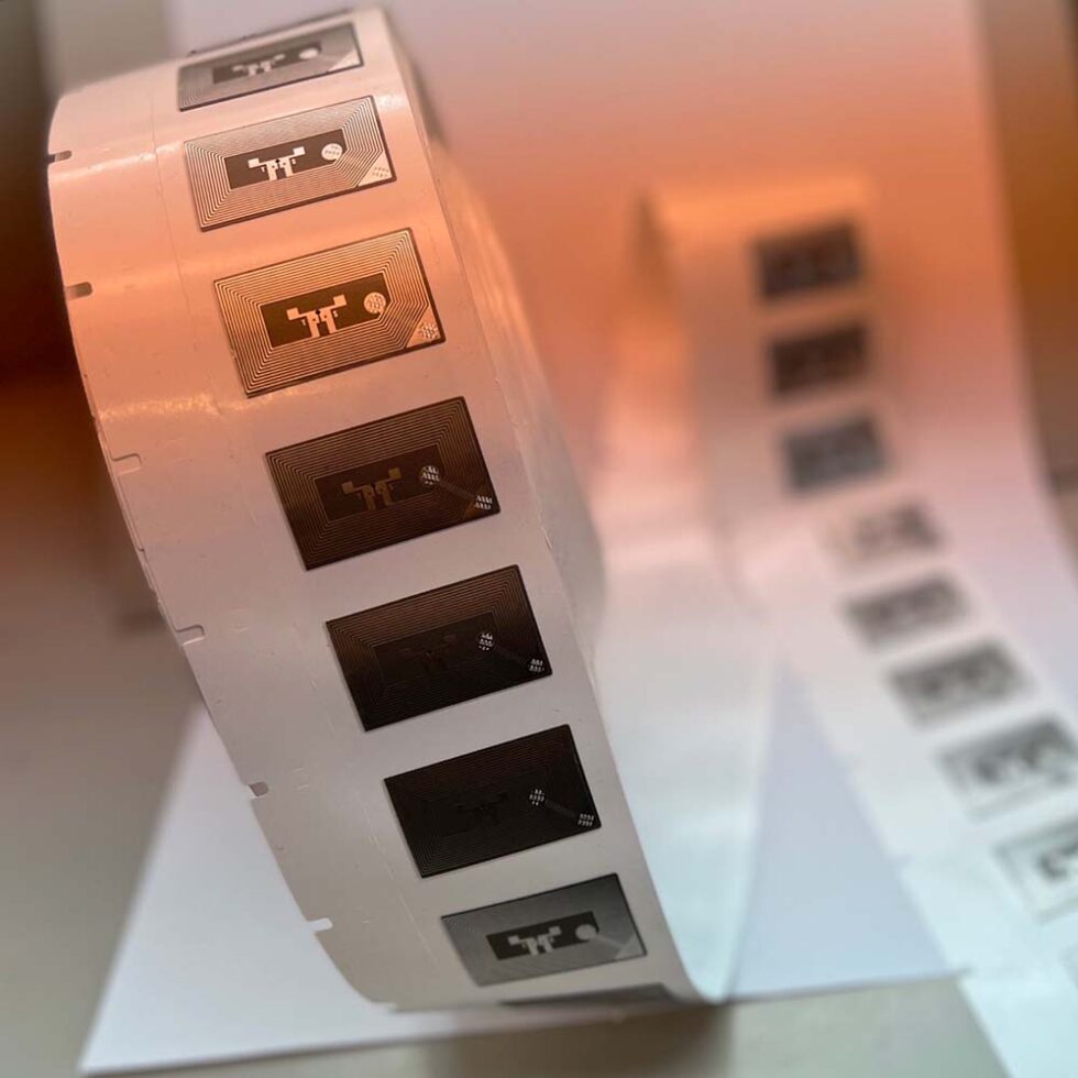 Case Studies - Beneli